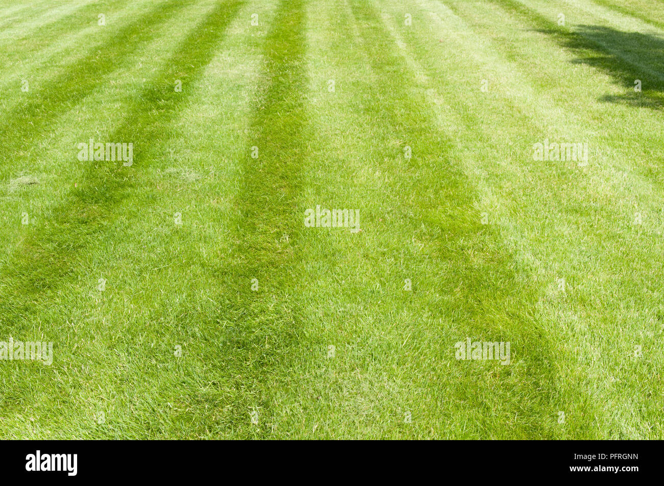Formal lines hi-res stock photography and images - Alamy