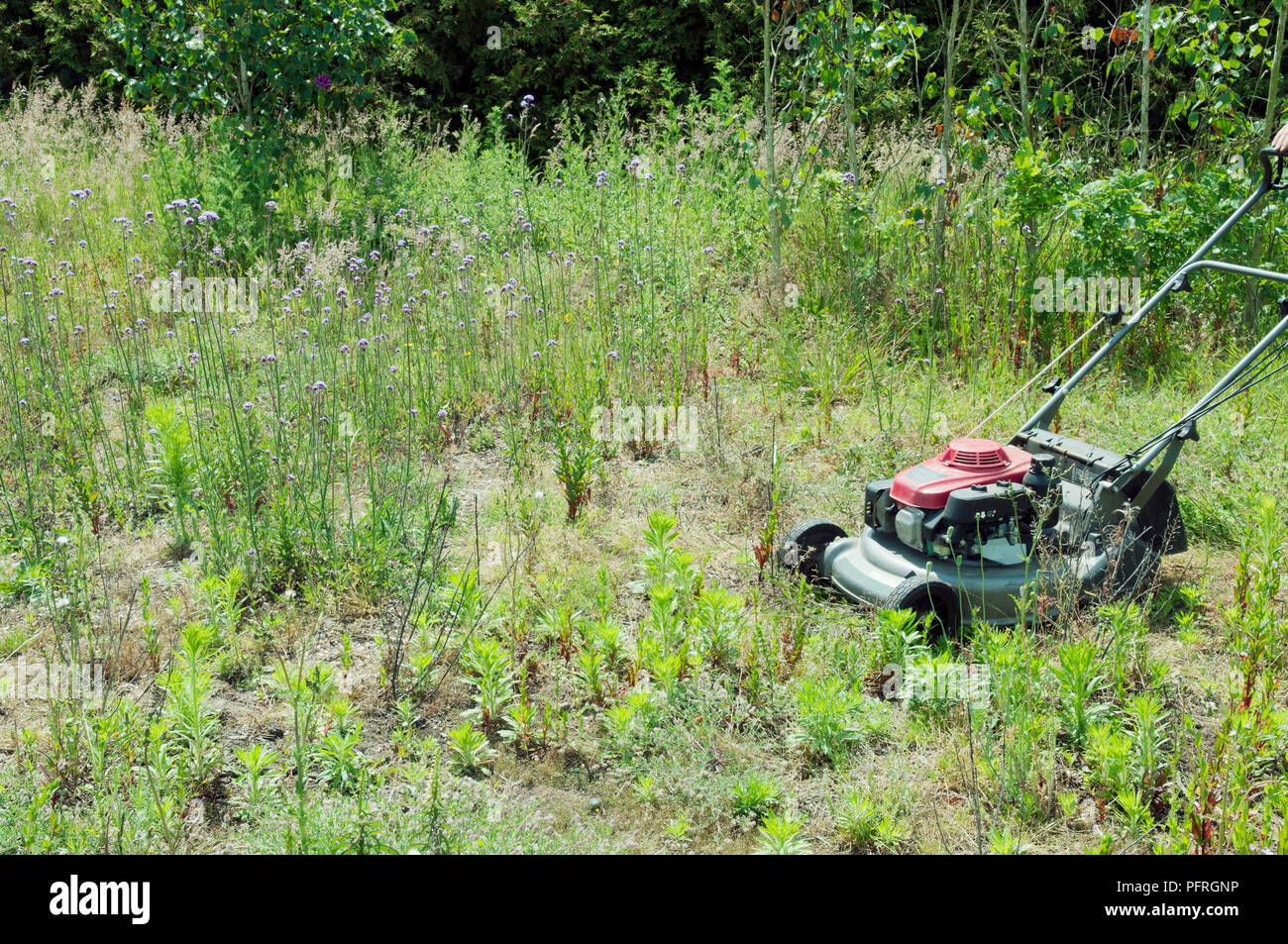 Garden overgrown mower hi-res stock photography and images - Alamy