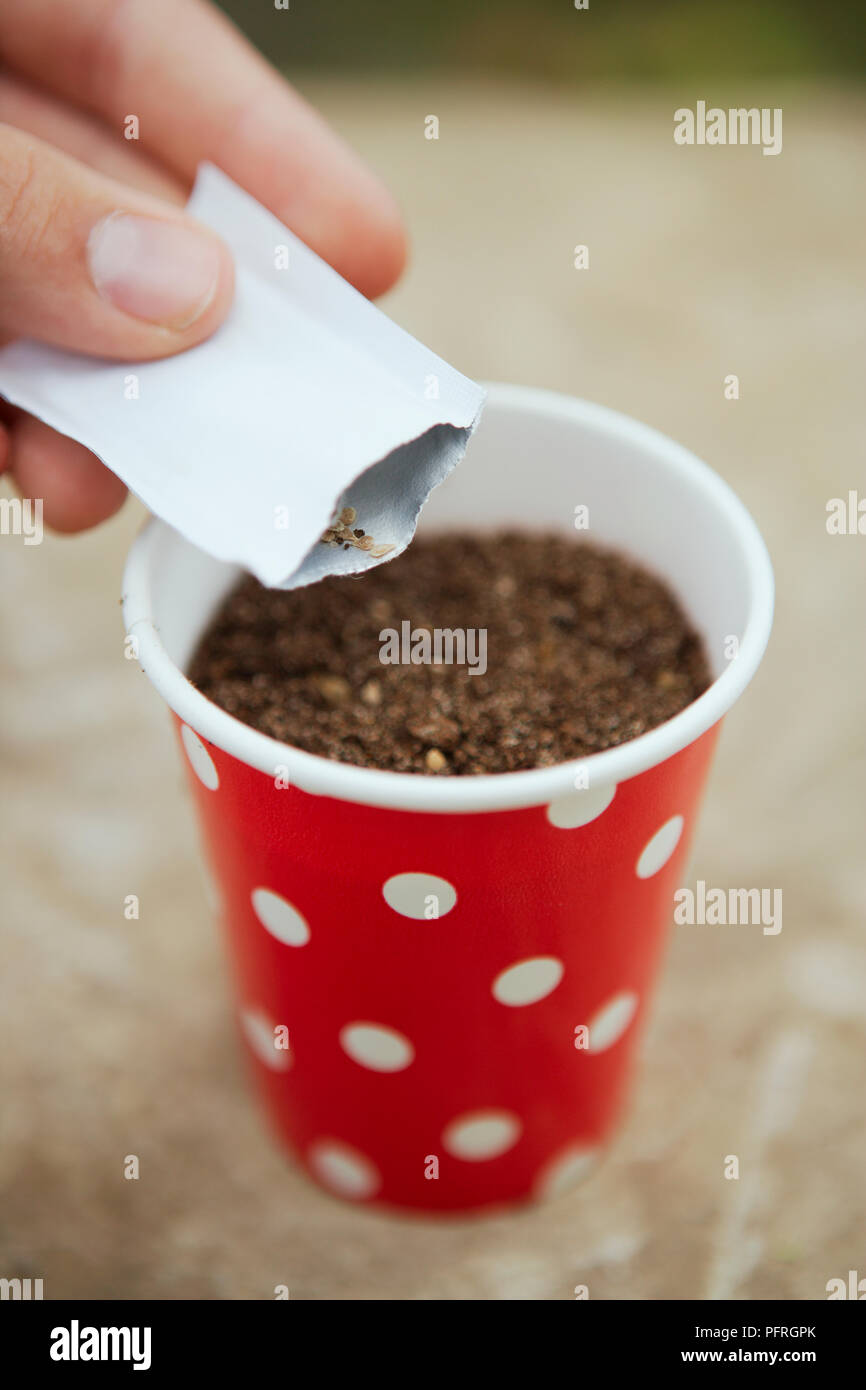 Hand packet pouring seeds hi-res stock photography and images - Alamy