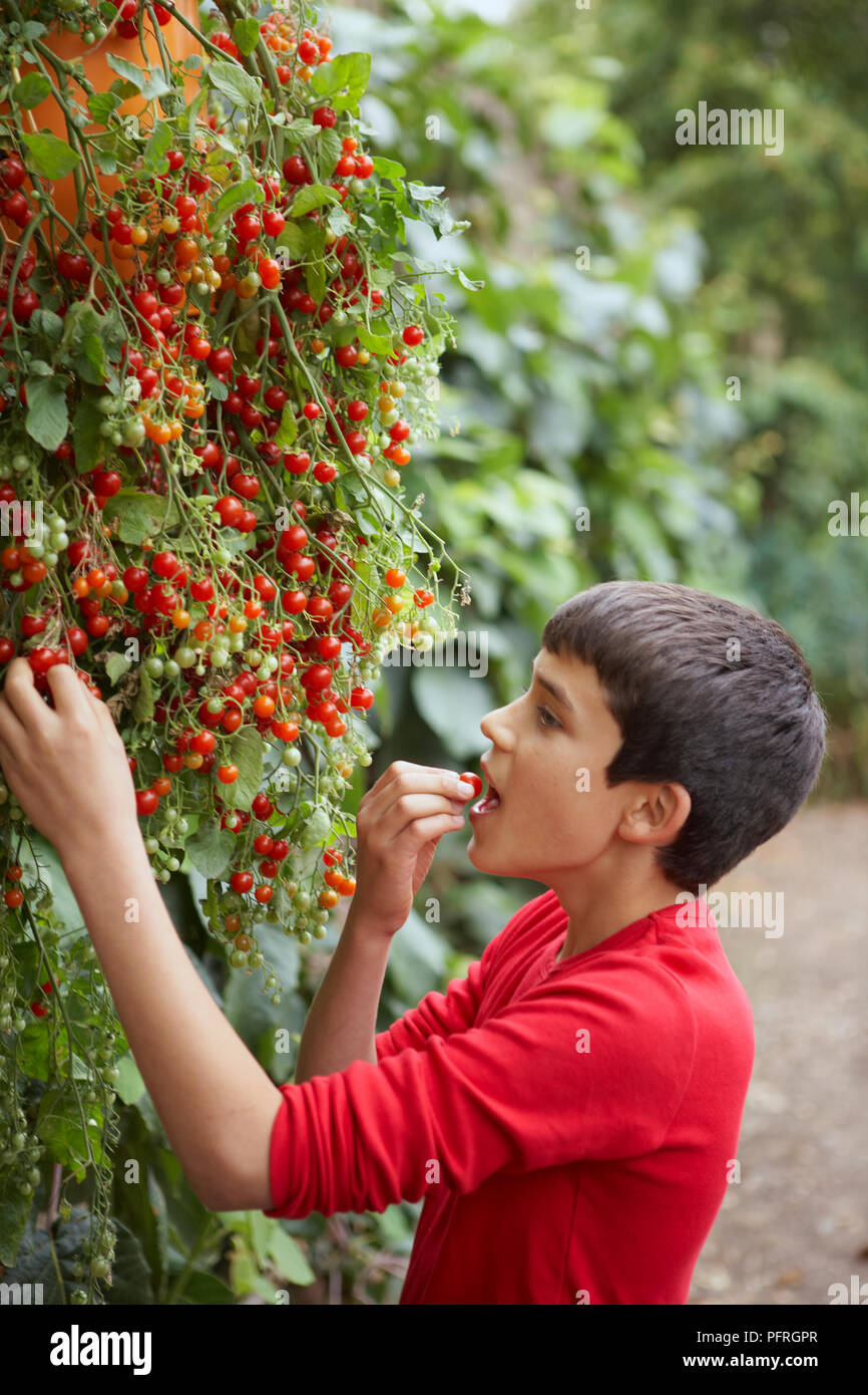 Trailing stems hi-res stock photography and images - Alamy