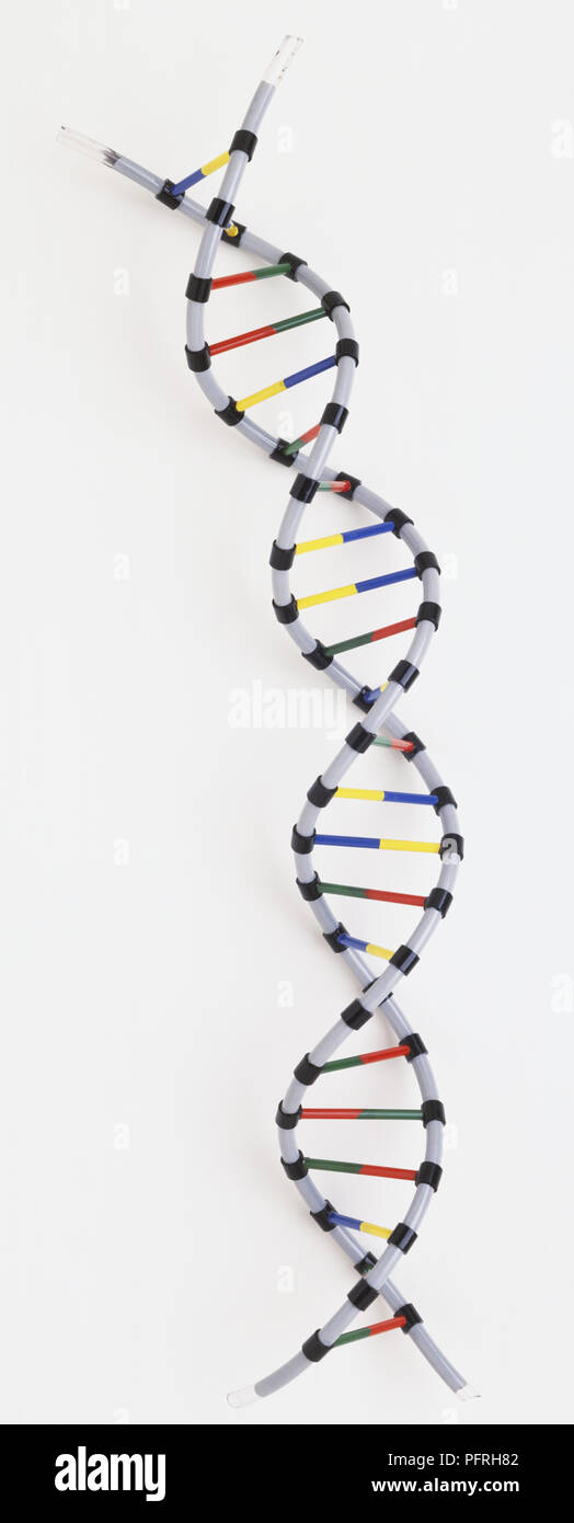 Two strands hi-res stock photography and images - Alamy