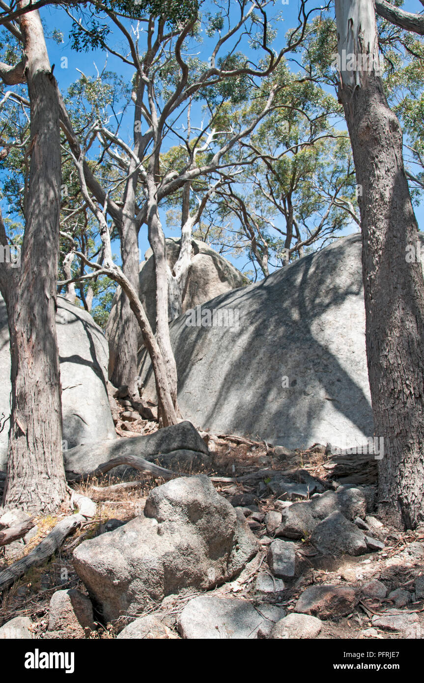 Australia, Victoria, Mt Alexander, Dog Rocks Stock Photo - Alamy