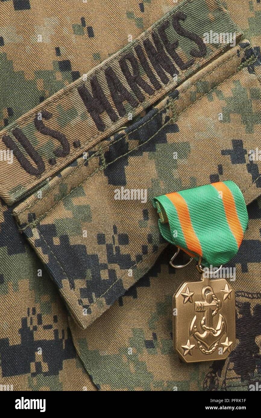 U.S. Marines with 2nd Tank Battalion, 2nd Marine Division, are awarded ...