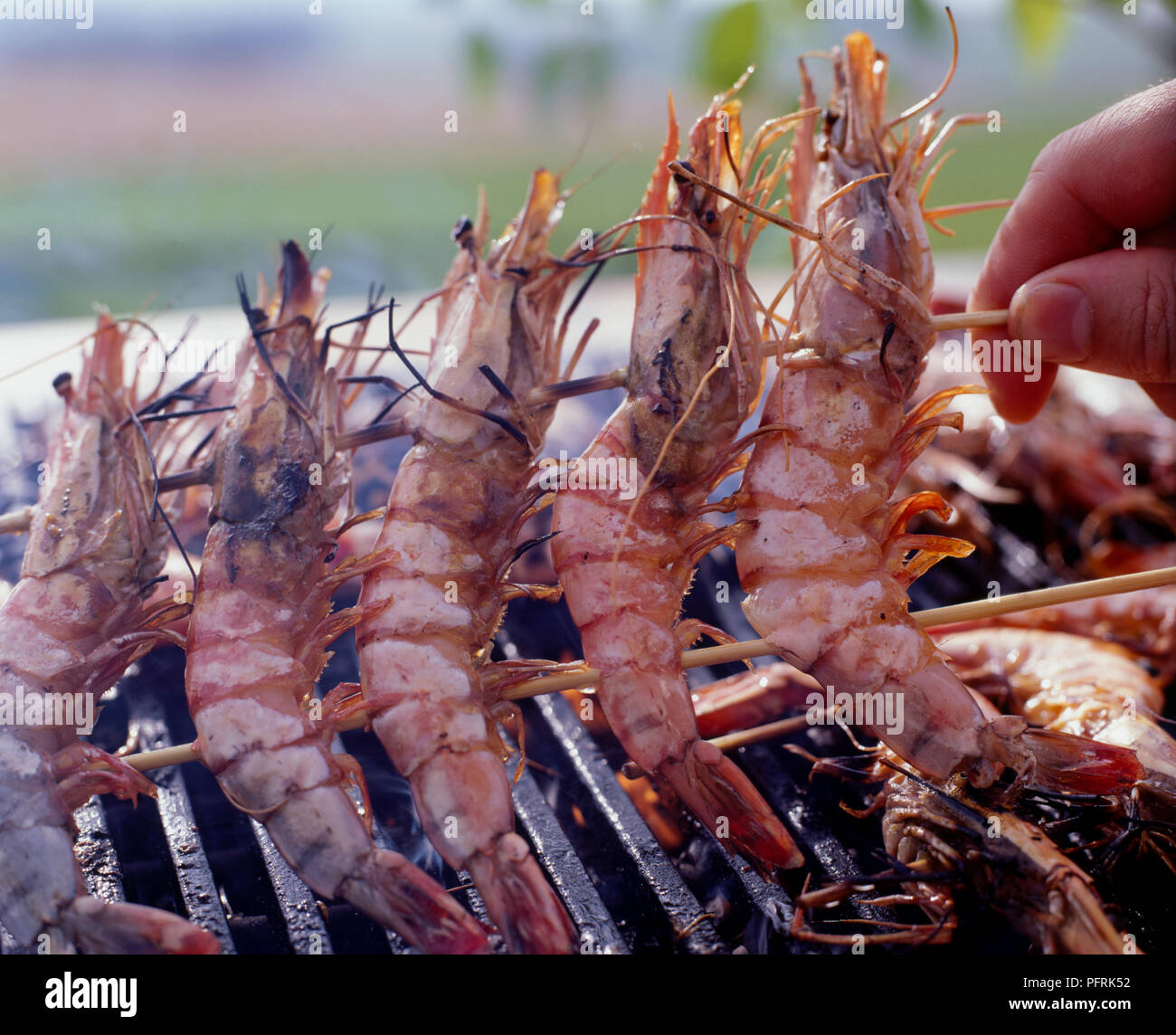 Human hand crayfish hi-res stock photography and images - Alamy