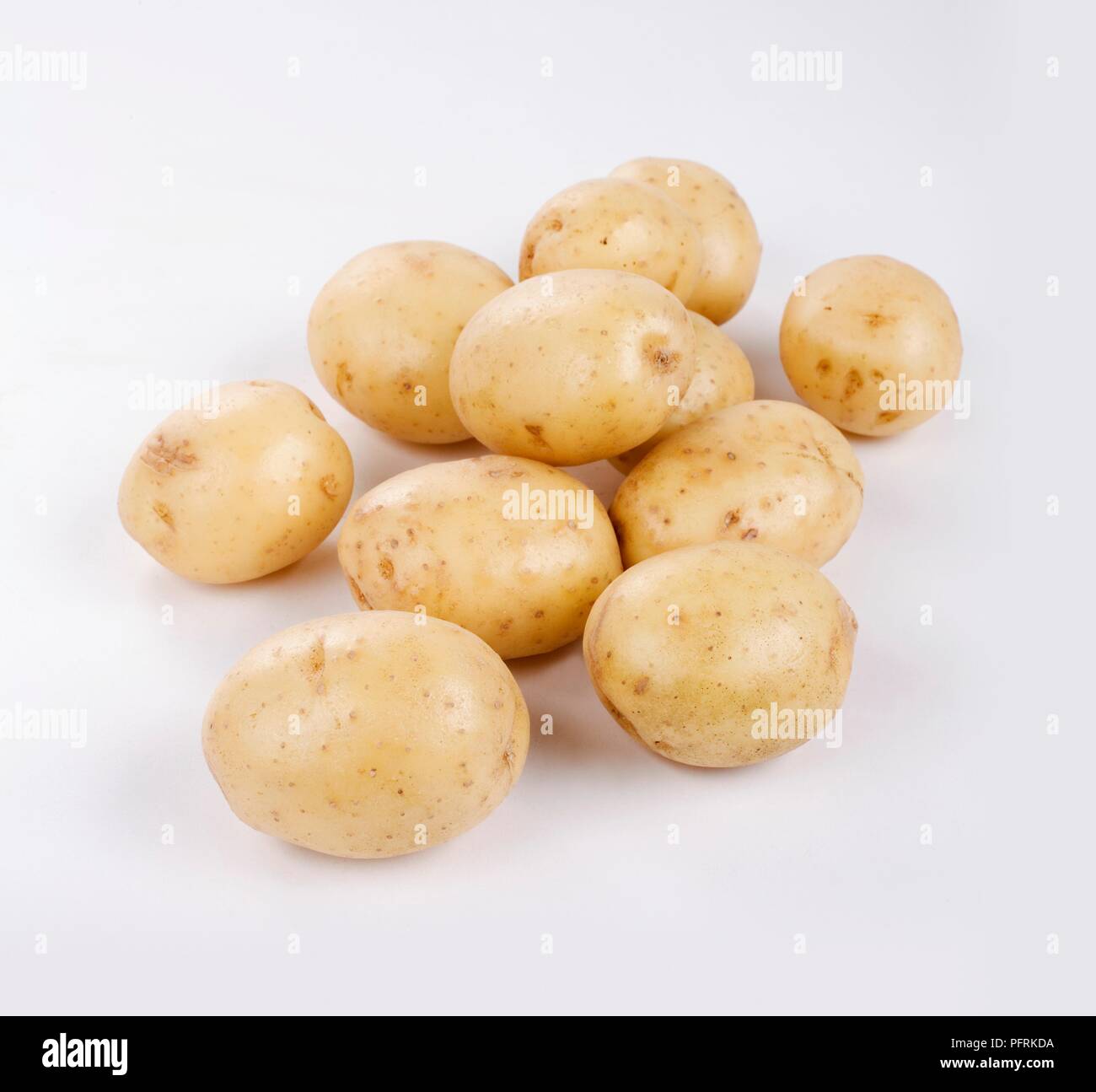 Primura hi-res stock photography and images - Alamy