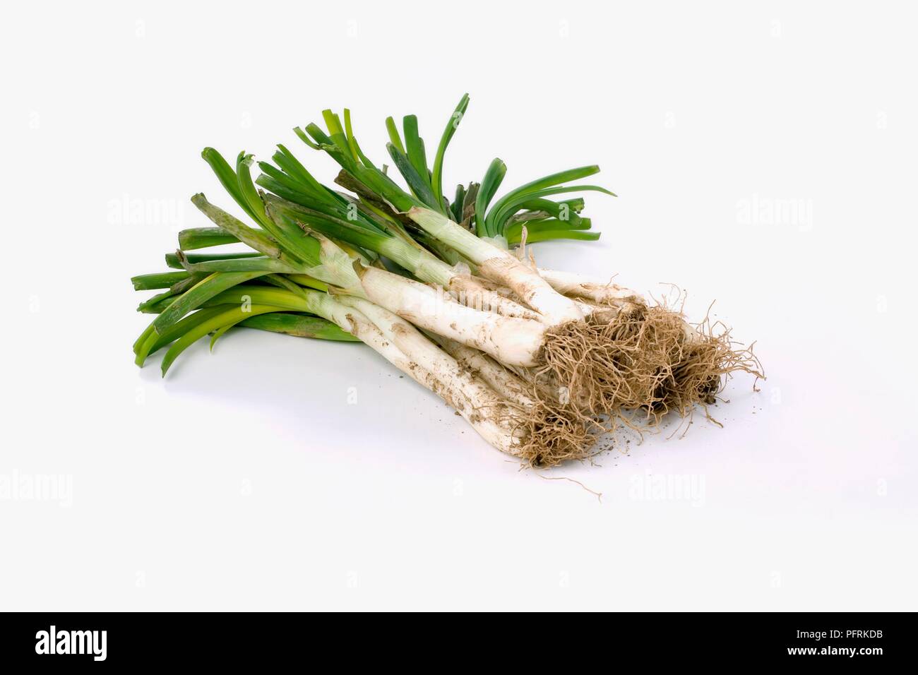 Spanish Calcot onions with leaves and roots Stock Photo - Alamy