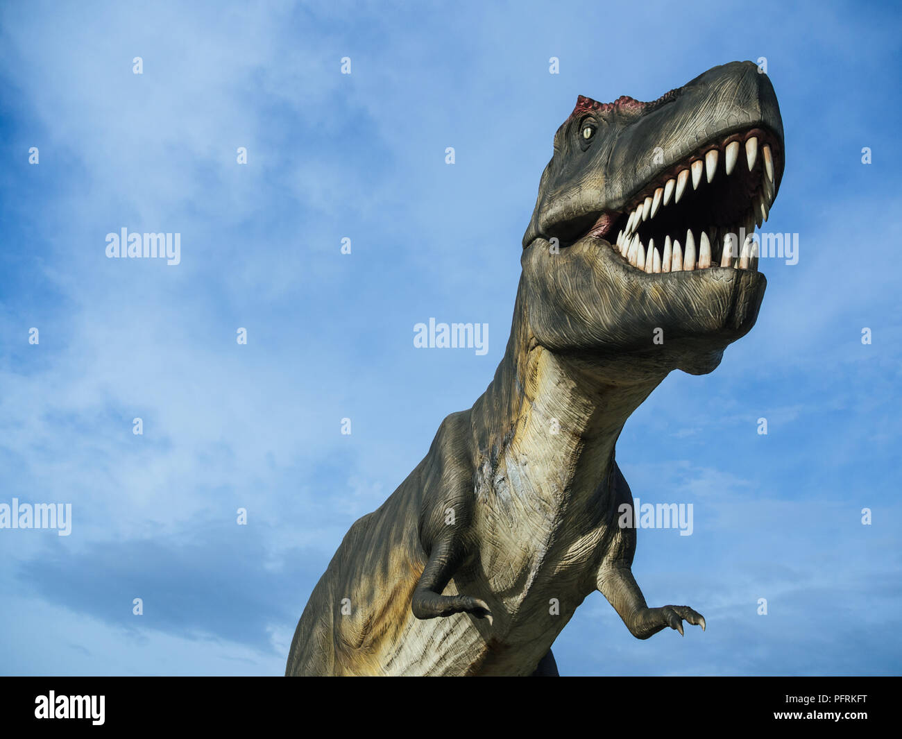 Dinosaur Tyrannosaurus Rex on blue sky background with space Stock ...