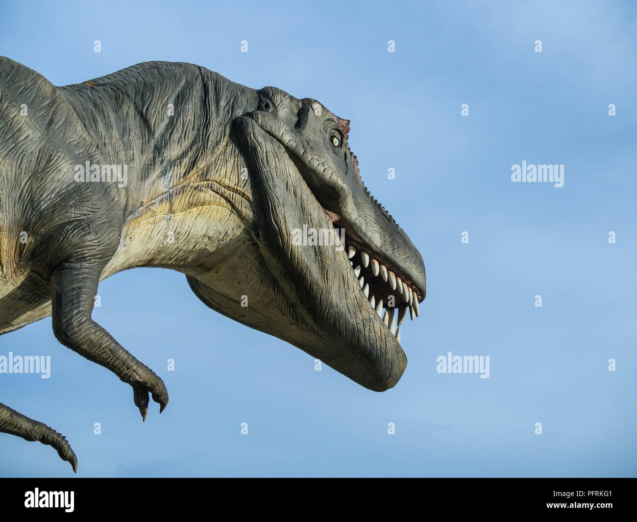 Statue of tyrannosaurus rex head hi-res stock photography and images ...