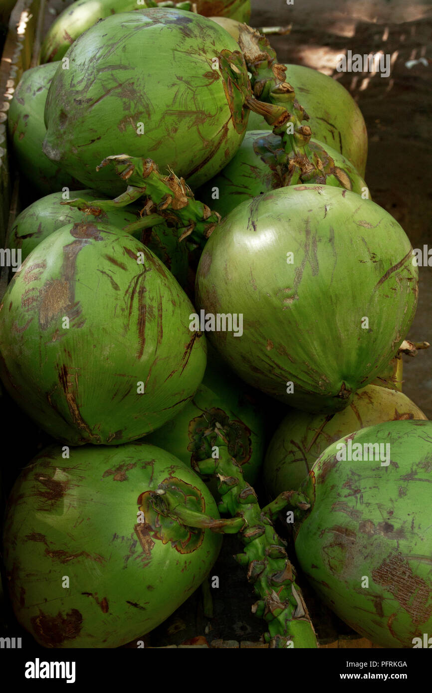 Stacked of young coconuts on the market Stock Photo - Alamy