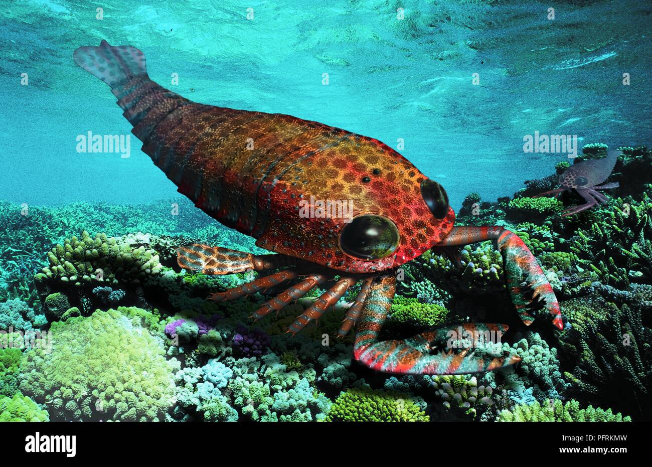 Pterygotus, pre-historic sea scorpion Stock Photo - Alamy