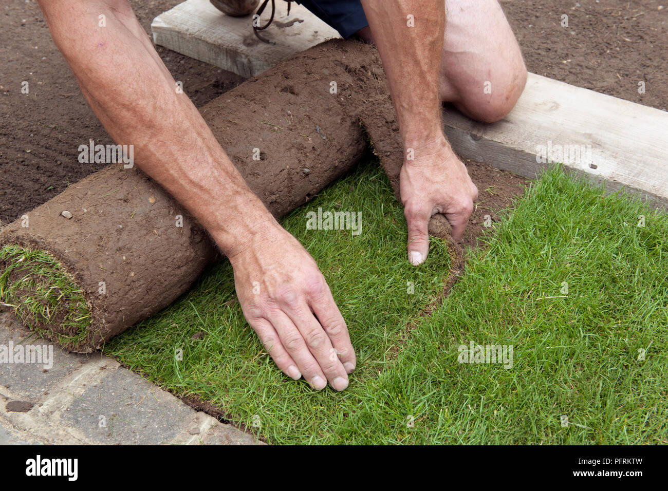 Laying turf, close-up Stock Photo - Alamy