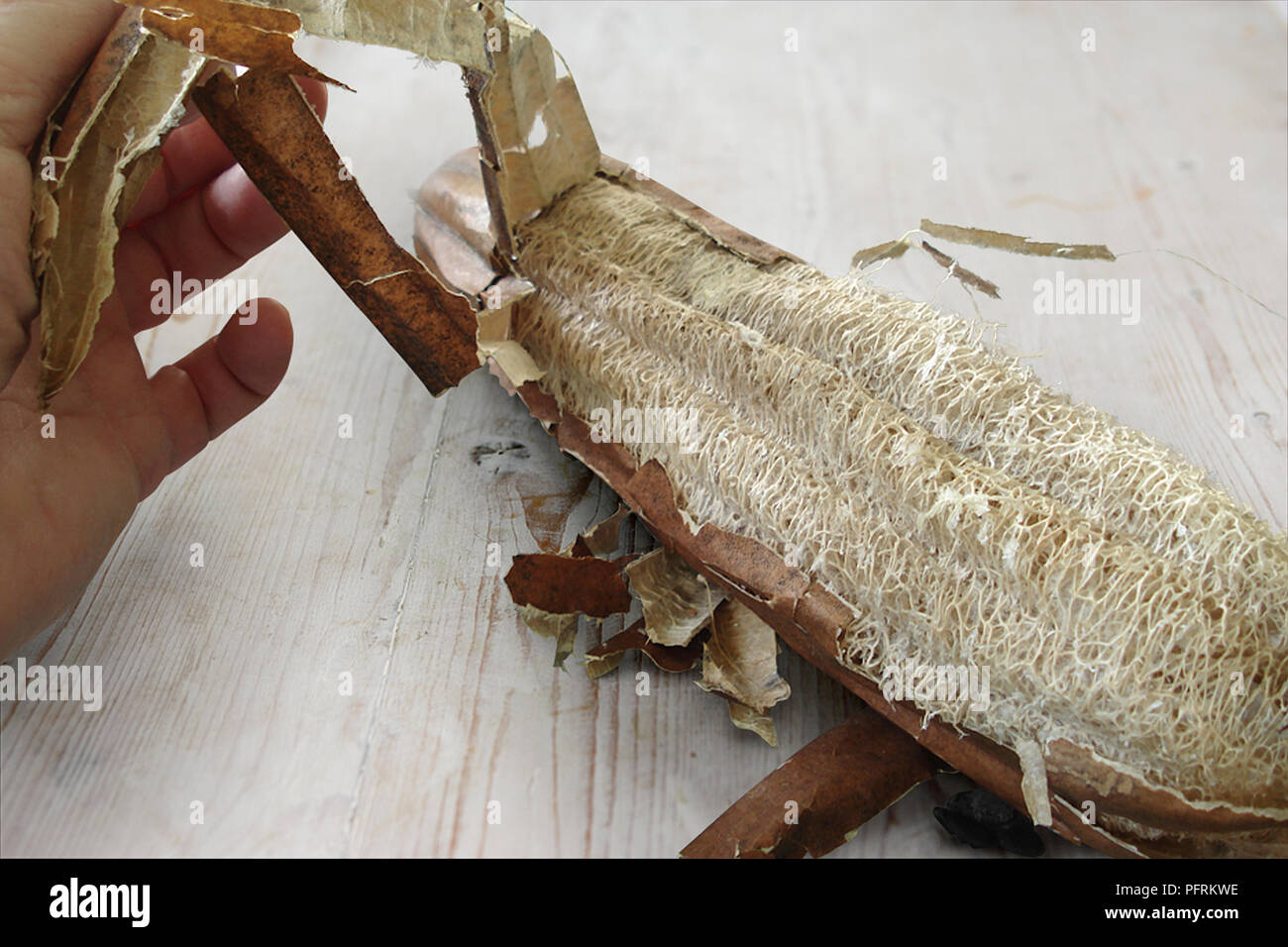 Egyptian bath hi-res stock photography and images - Alamy