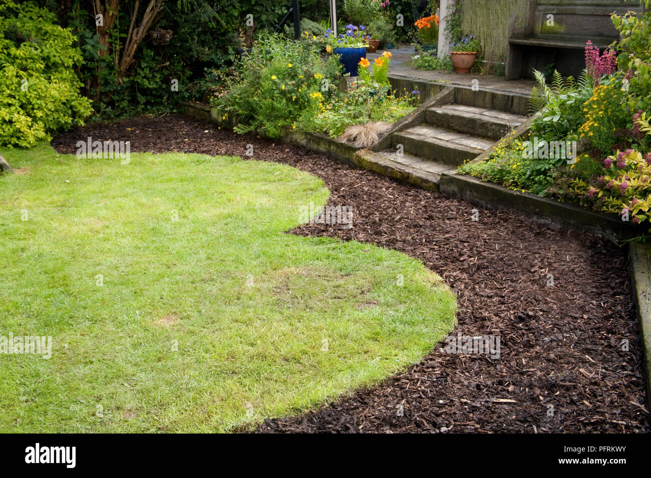Shaped lawn with bark edging, steps and perennial borders Stock Photo ...