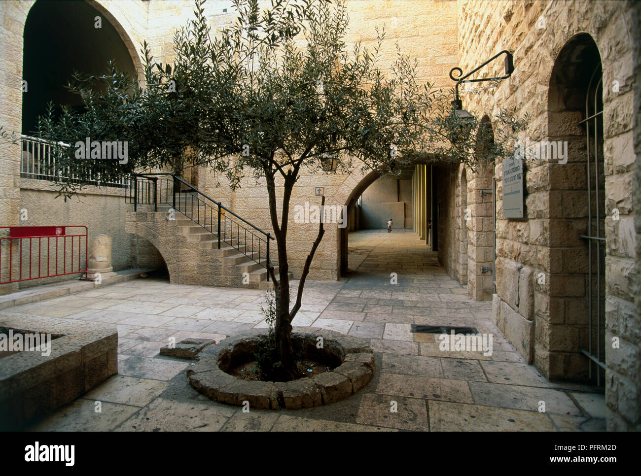 Israel, Jerusalem, Jewish Quarter, tree in courtyard Stock Photo - Alamy