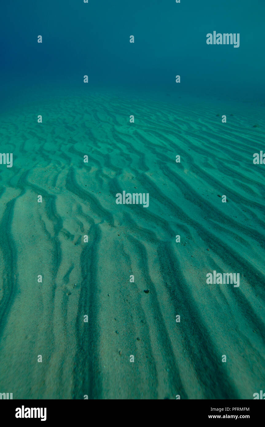 Egypt, Dahab, rippled sand on seabed, close-up Stock Photo - Alamy