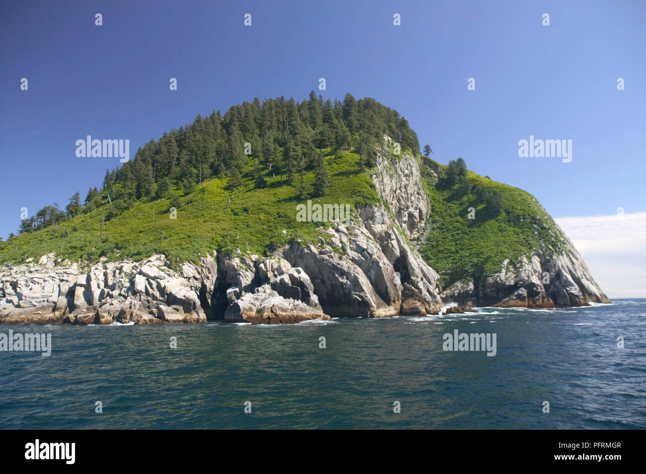 USA, Alaska, Kenai Peninsula, Chiswell Island, lush forest on sloping ...
