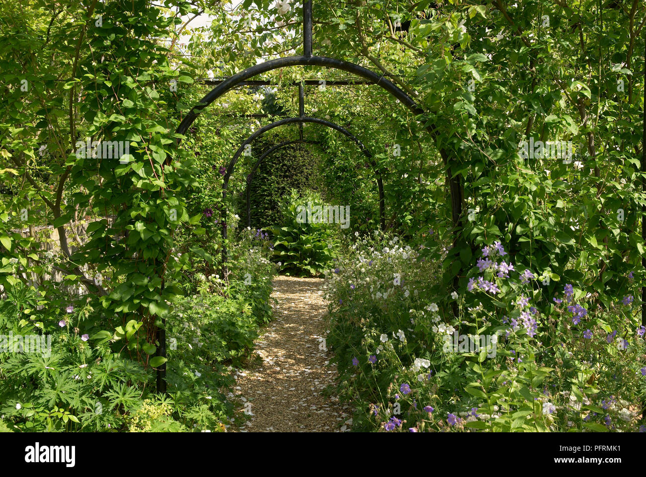 Arched pergola hi-res stock photography and images - Alamy