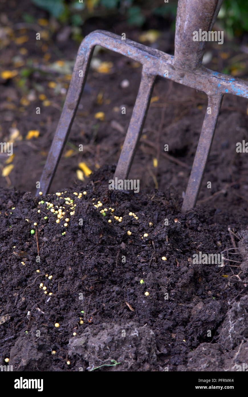 Forking soil hi-res stock photography and images - Alamy