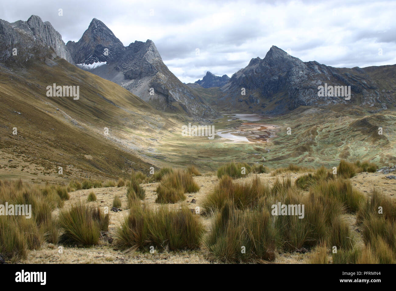 Puna grassland hi-res stock photography and images - Alamy