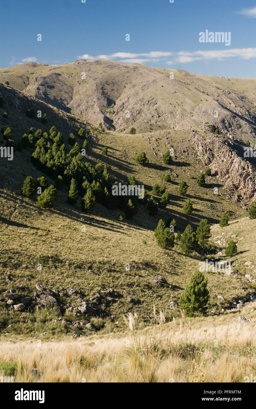 Ernesto tornquist provincial park hi-res stock photography and images ...