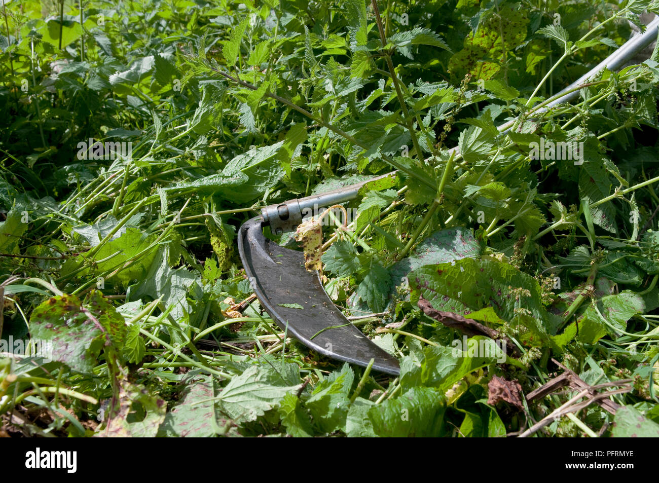 Scythe cutting hi-res stock photography and images - Alamy