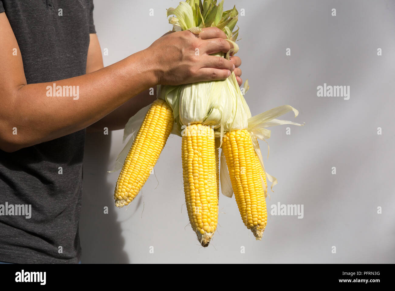 Hand holding corn cob hi-res stock photography and images - Alamy
