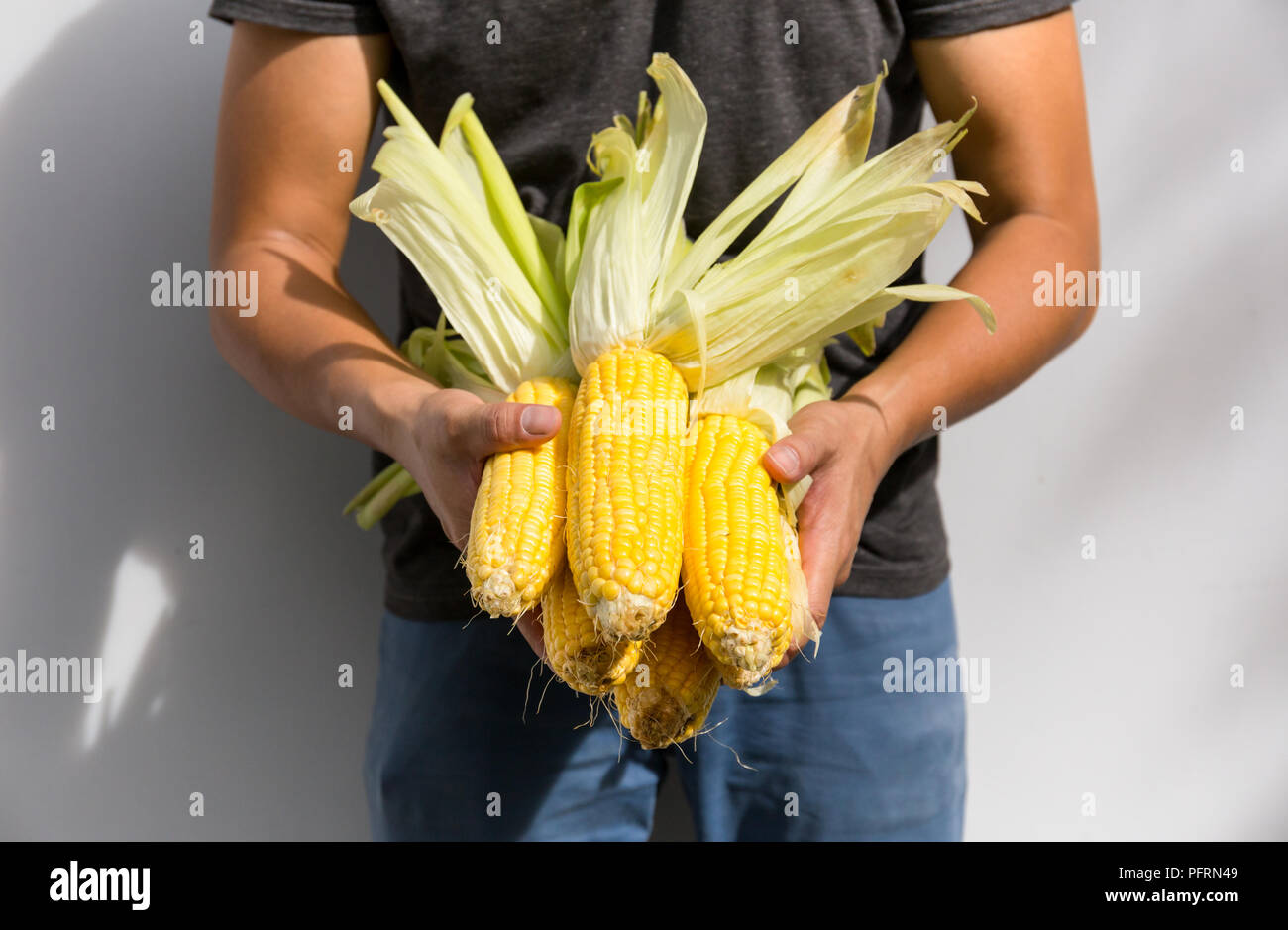 Hand holding corn cob hi-res stock photography and images - Alamy