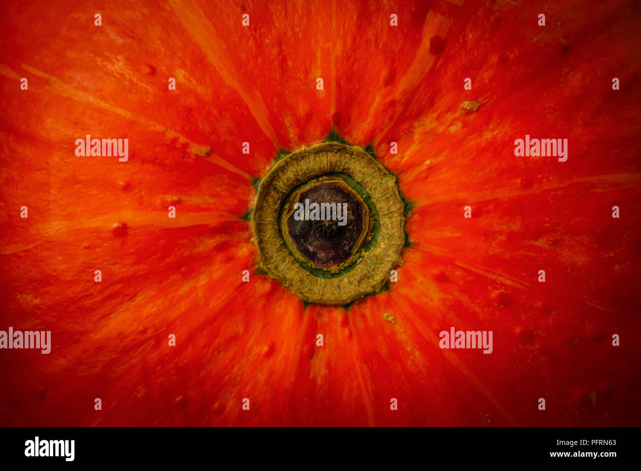 Soup bottom hi-res stock photography and images - Alamy