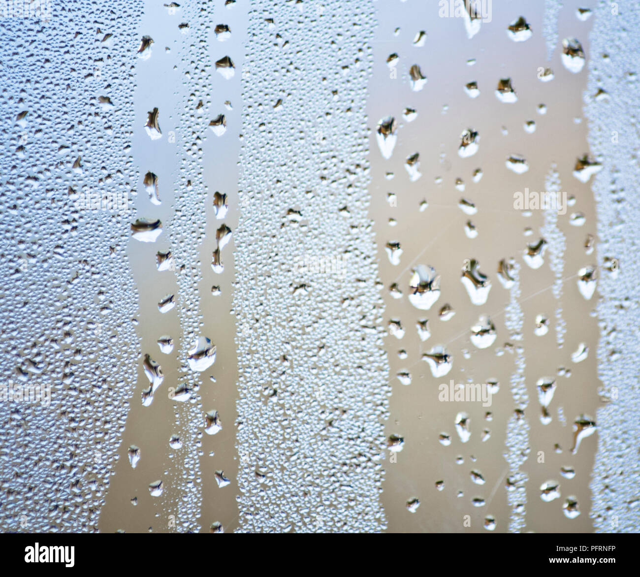 Back pane hi-res stock photography and images - Alamy