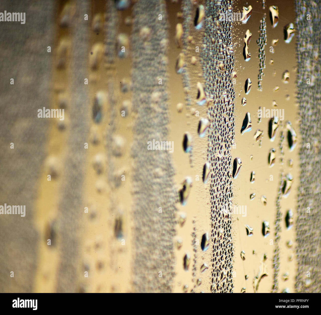 Back pane hi-res stock photography and images - Alamy