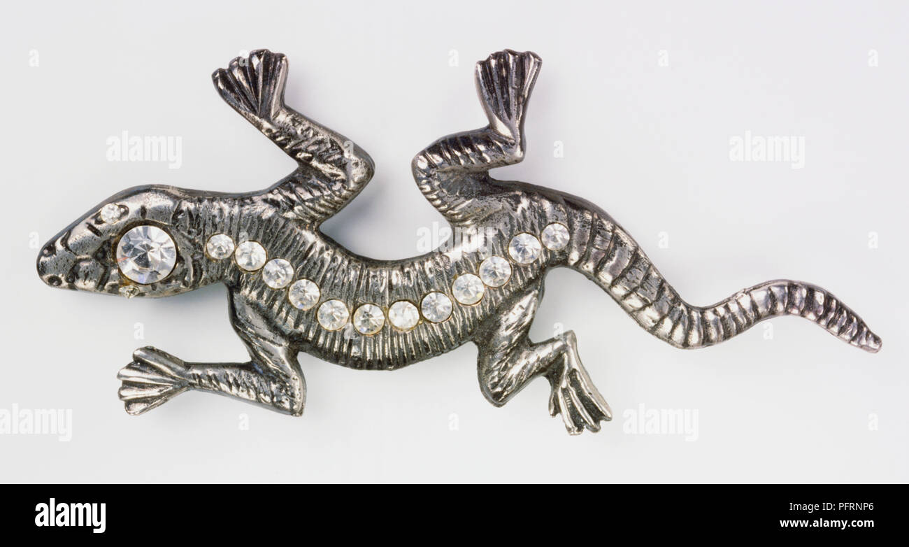 Silver lizard hi-res stock photography and images - Alamy