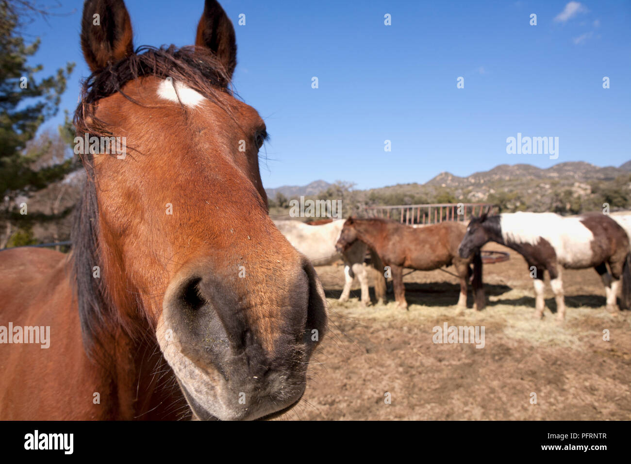 Warner springs hi-res stock photography and images - Alamy