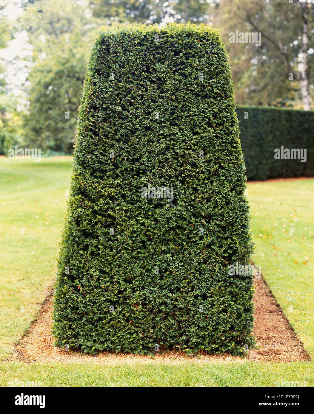 Stylised gardens hi-res stock photography and images - Alamy