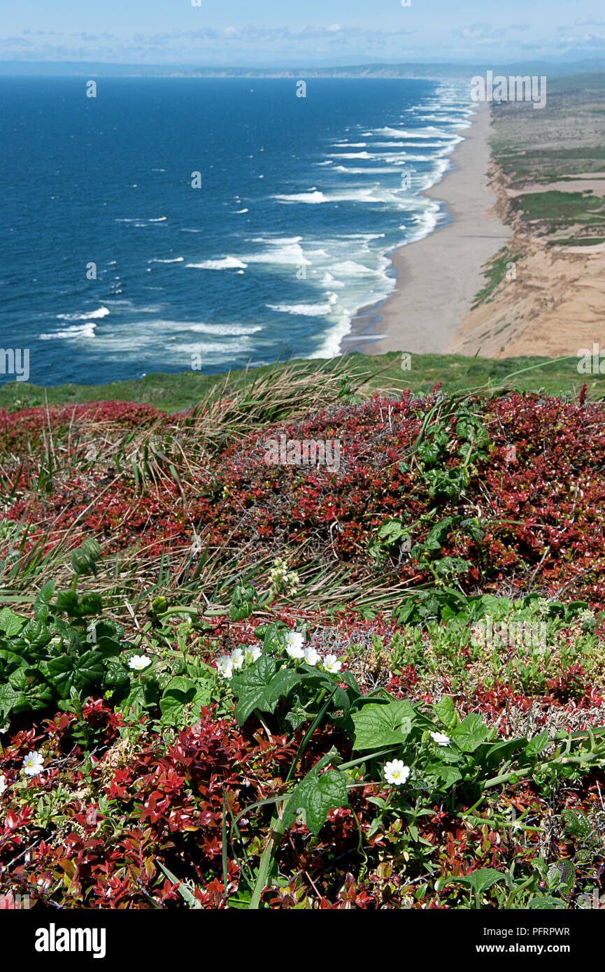 USA, California, Marin County, Point Reyes National Seashore, South ...