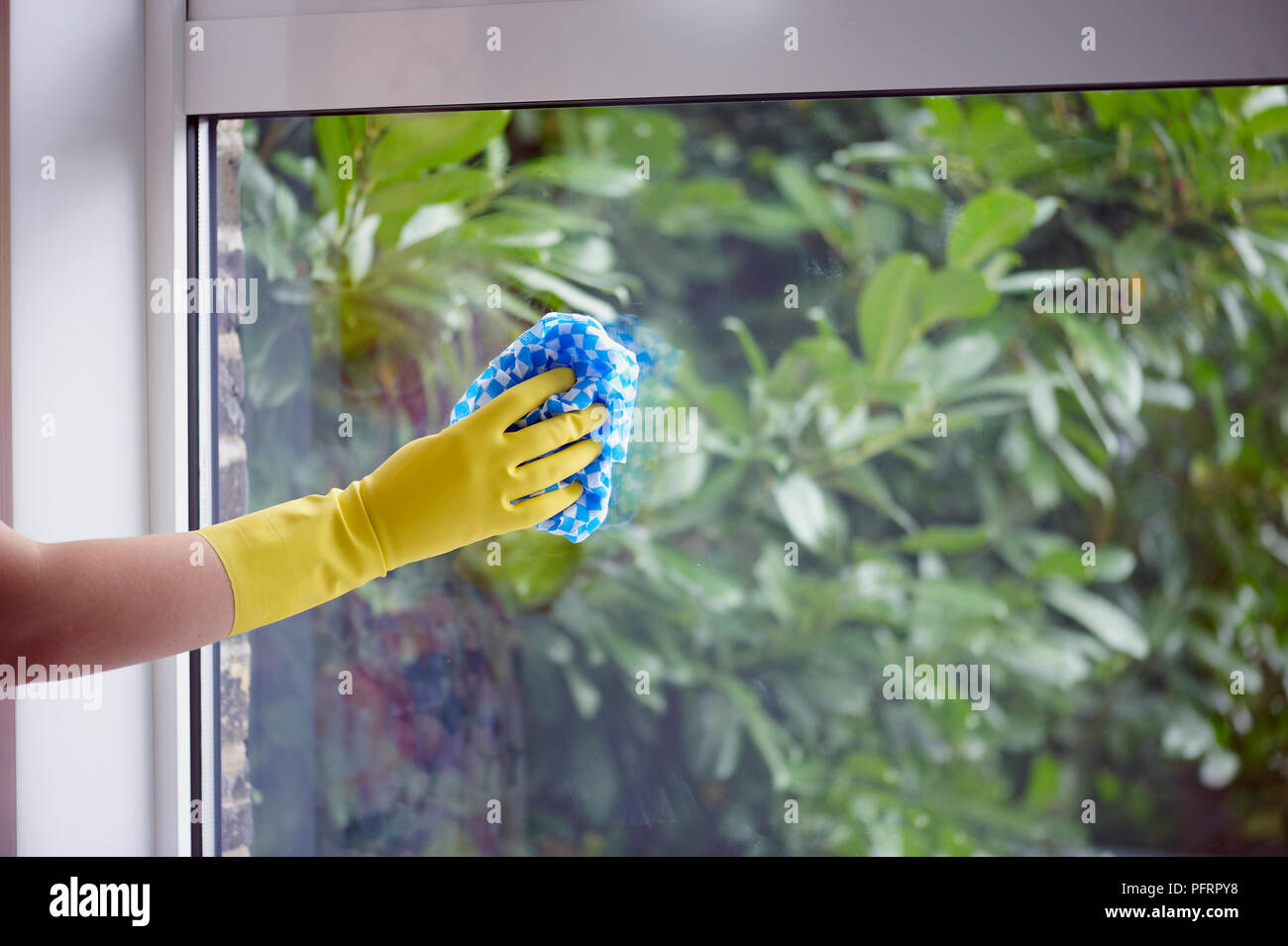 Woman wearing yellow washing up glove to use rag to clean window Stock ...