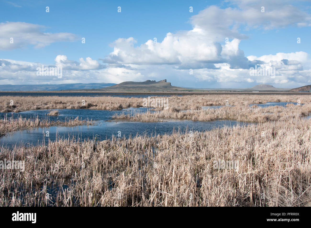 Tule lake wildlife refuge hi-res stock photography and images - Alamy