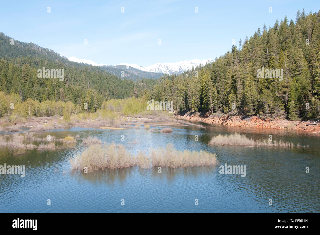 USA, California, Trinity Lake and forest with mountains in distance ...