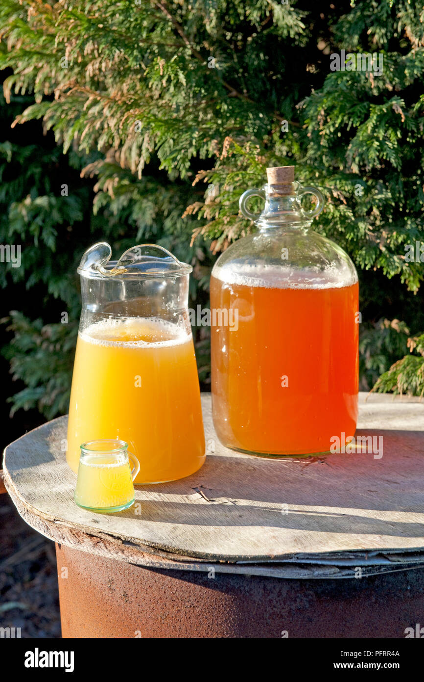 Fermentation in glass hi-res stock photography and images - Alamy