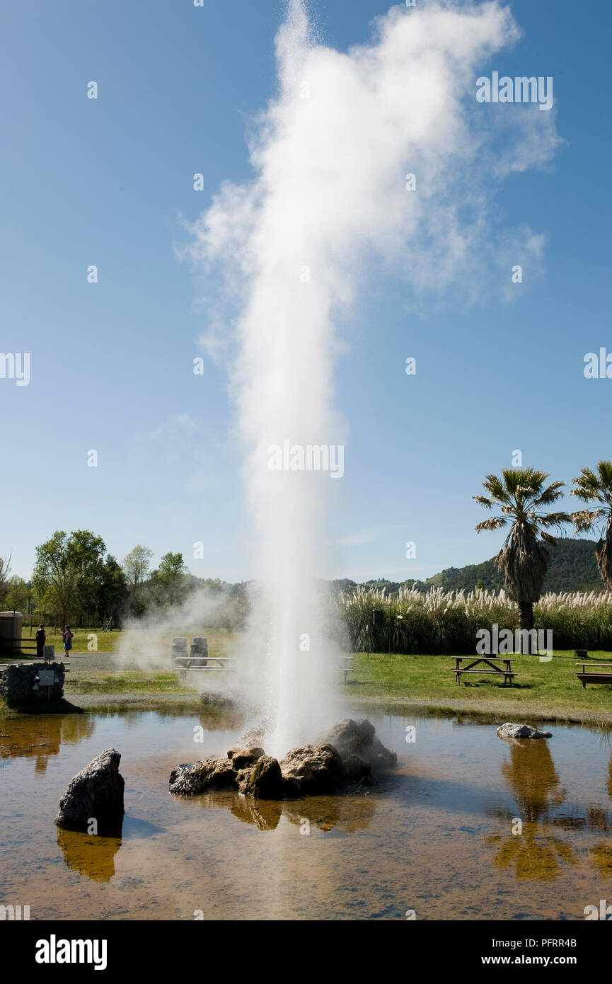 Old Faithful Geyser Of California High Resolution Stock Photography and ...