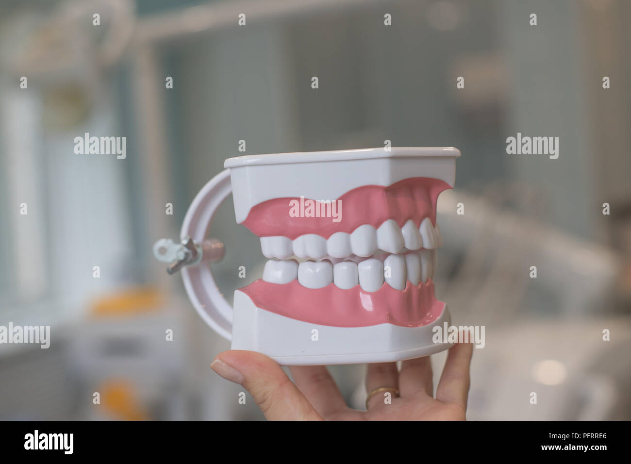 Perfectly straight teeth. Jaw model, close up. Braces on the teeth ...