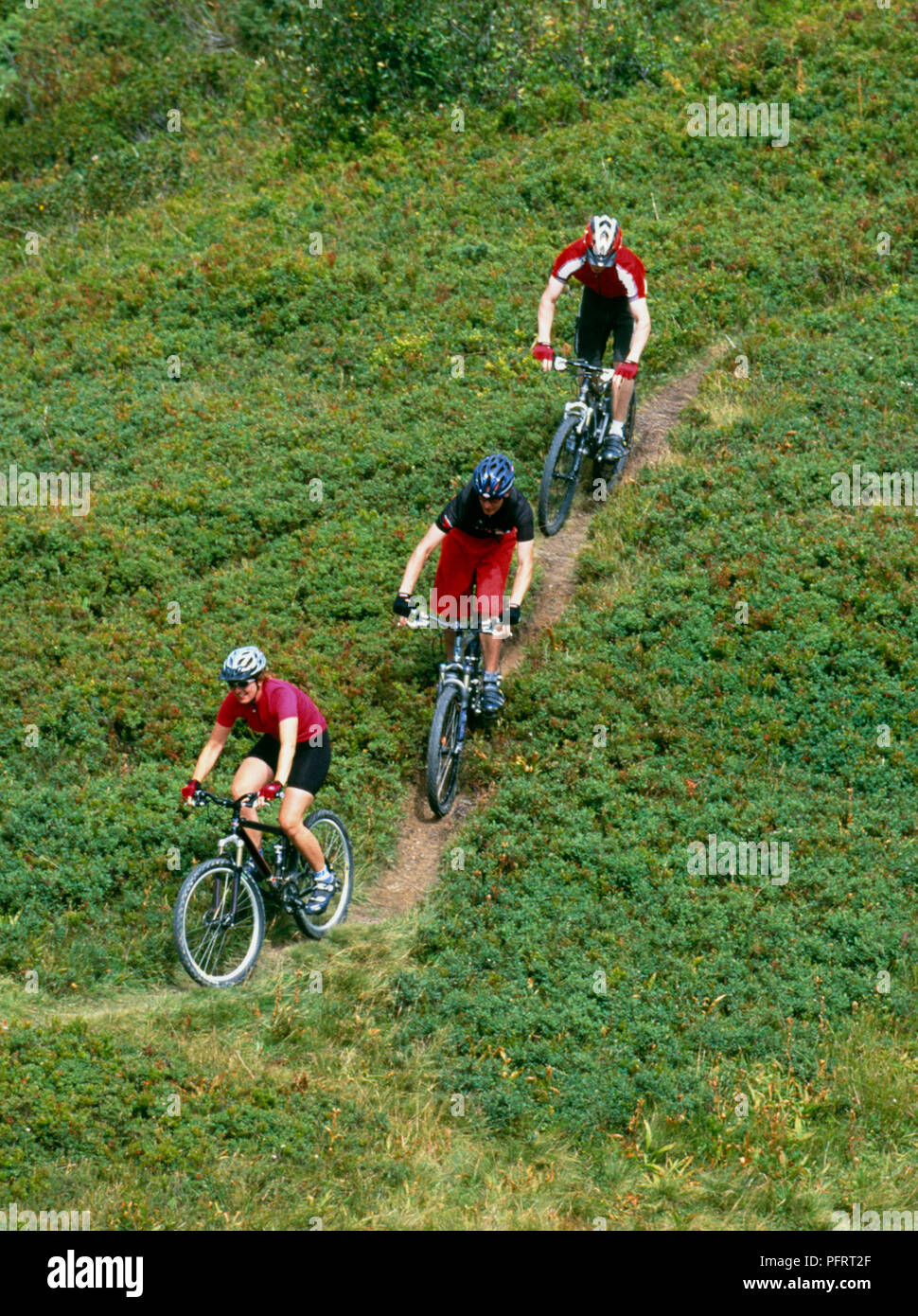 Three men on mountain bikes hi-res stock photography and images - Alamy