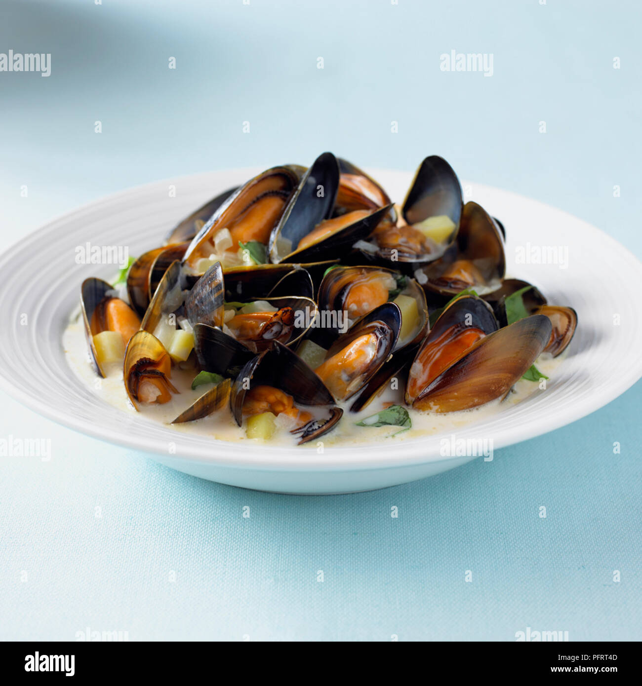 Cooked mussels sauce hi-res stock photography and images - Alamy
