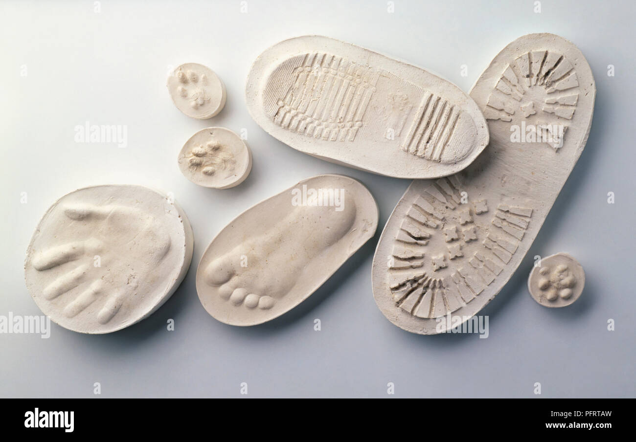Plaster of Paris casts of hand, cat's paw, bare foot, trainer and boot ...
