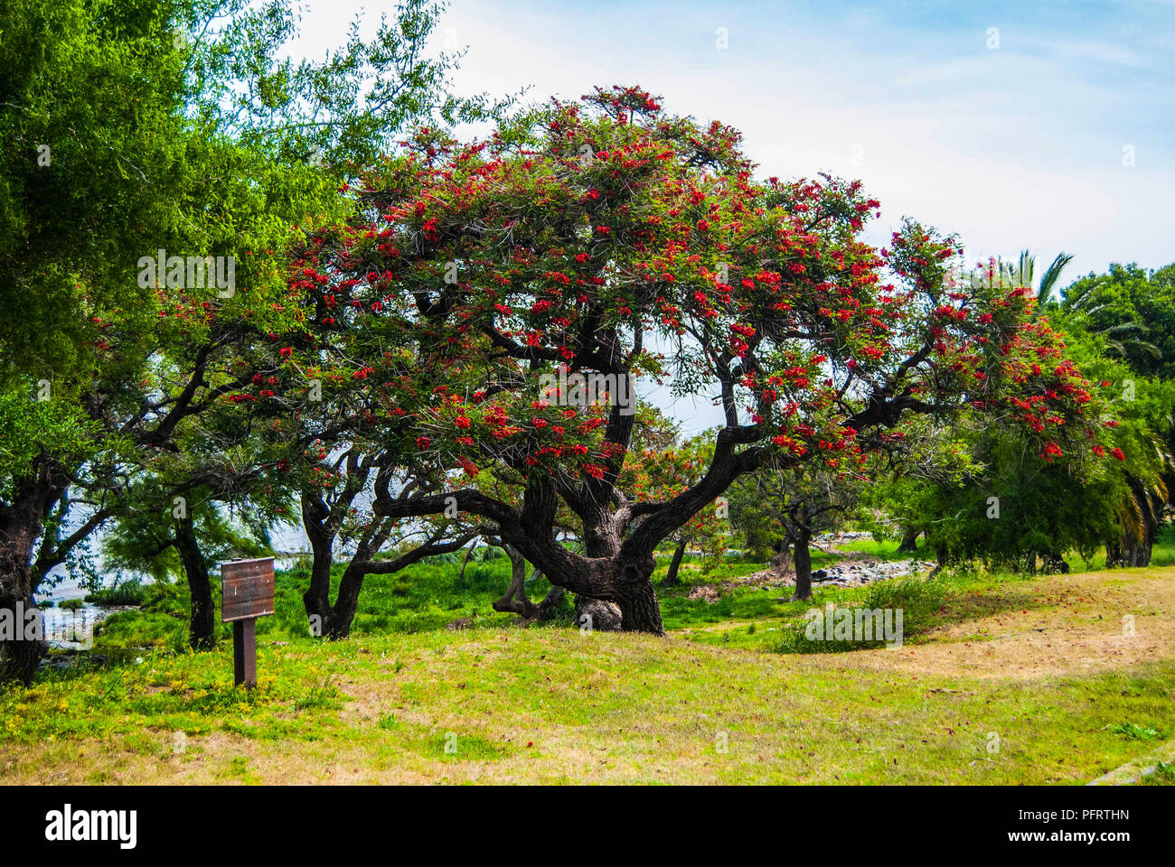 Colonia park hi-res stock photography and images - Alamy