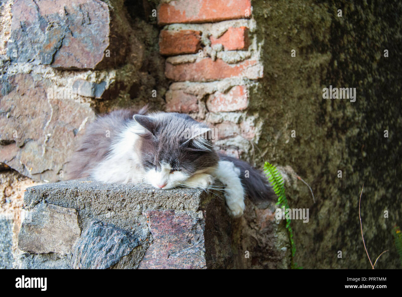 Nap text hi-res stock photography and images - Alamy