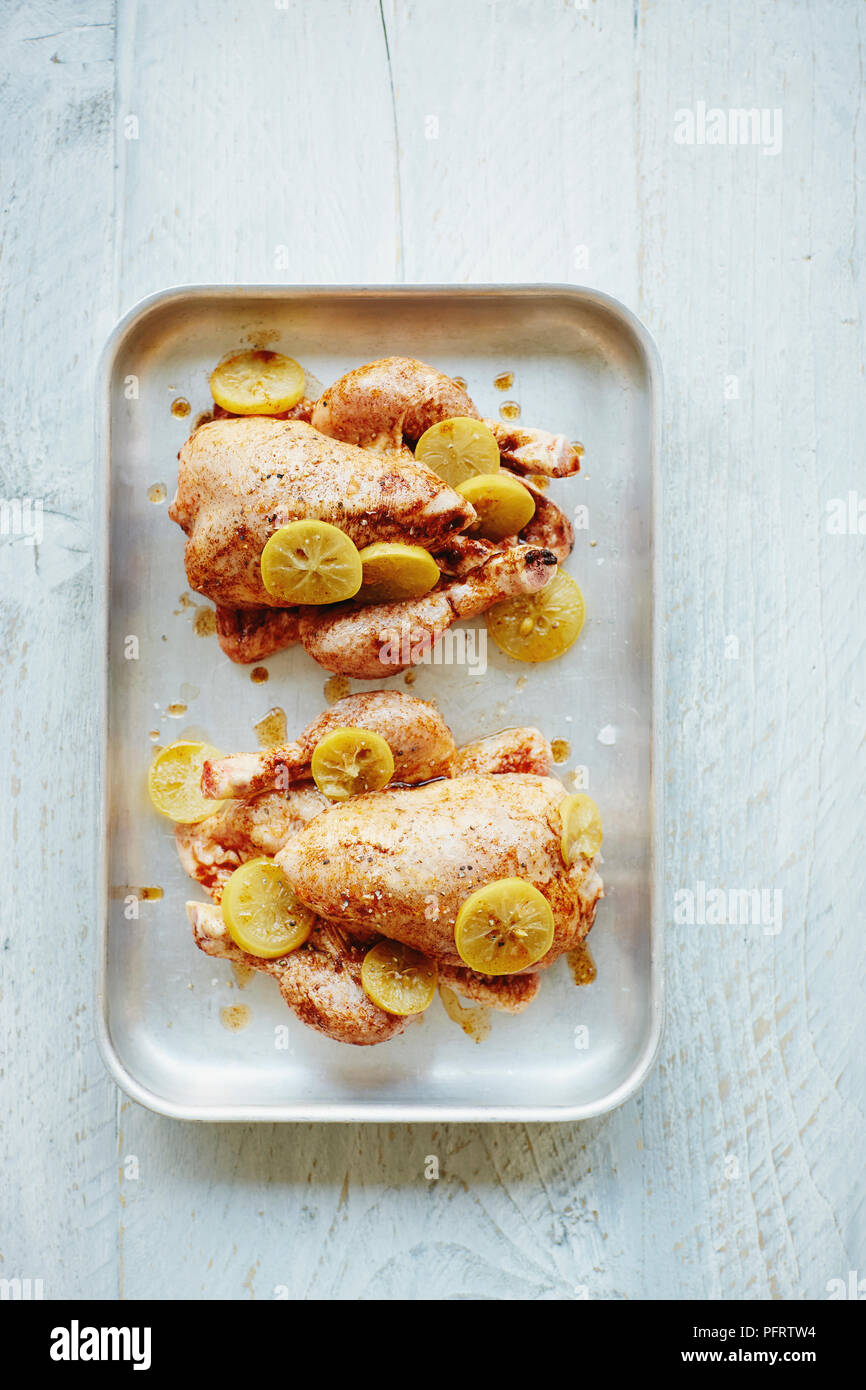 Poussin hi-res stock photography and images - Alamy