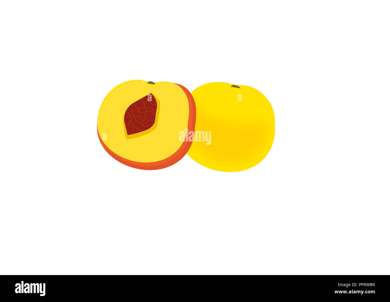 Illustration of peach halved Stock Photo - Alamy