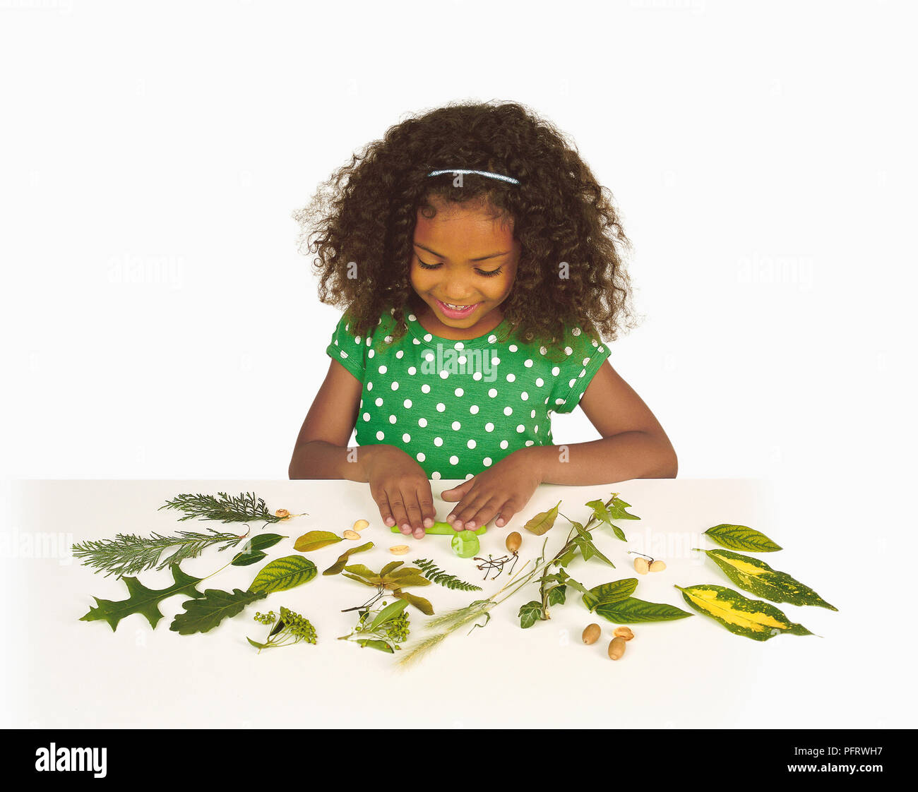 Girl (6 years) rolling leaves Stock Photo - Alamy