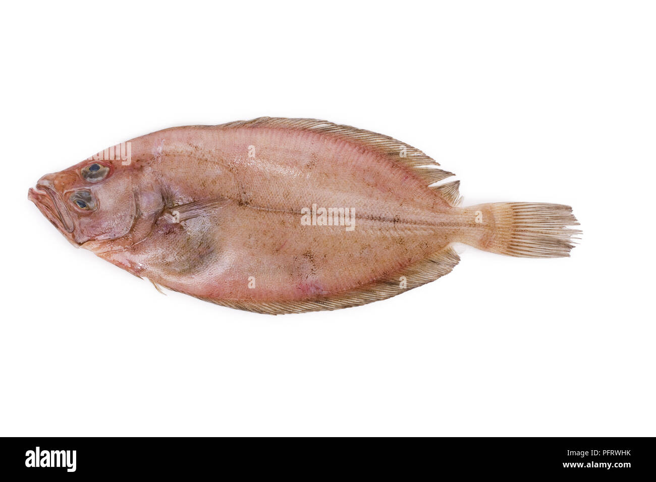 Fish colour hi-res stock photography and images - Alamy