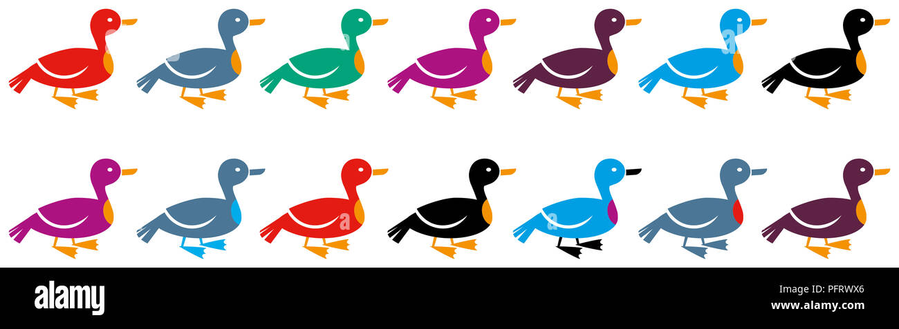 Ducks of different colours in two rows Stock Photo - Alamy